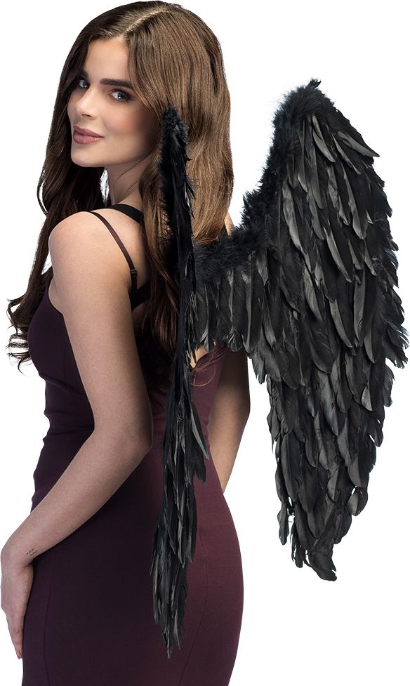 Grote Veren Engel Vleugels Zwart