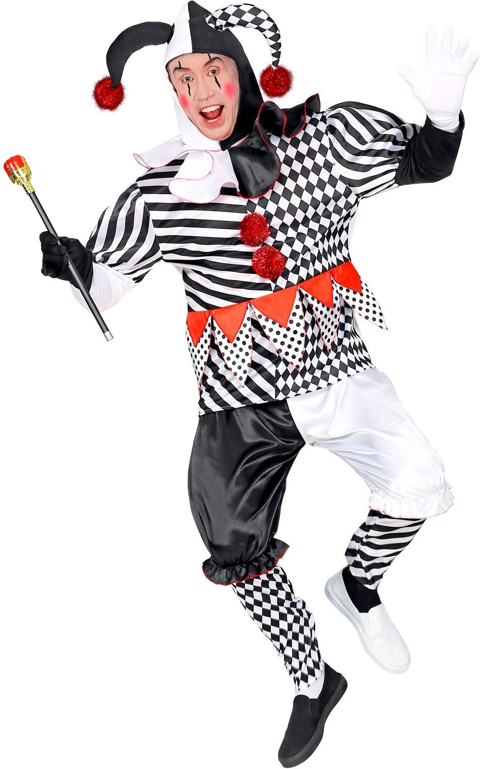 Harlekijn carnaval heren | Carnavalskleding.nl
