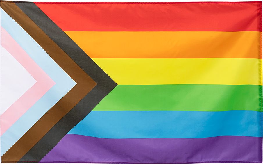 LGBTQIA+ progress vlag