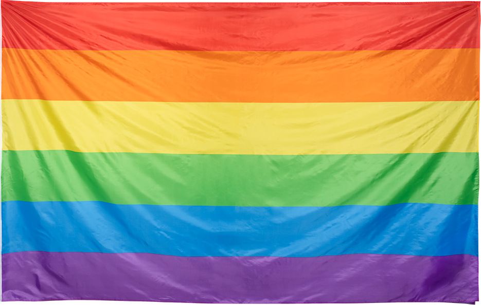 XXL Gay pride regenboog vlag